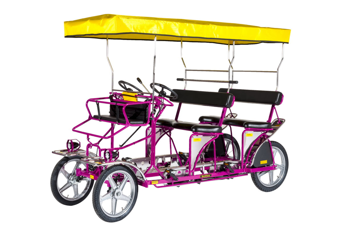 Delfino Surrey Bike Fuchsia – Buena Vista Surrey Company
